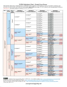 Down the DNA Rabbit Hole – X chromosome | Genealogy Lady