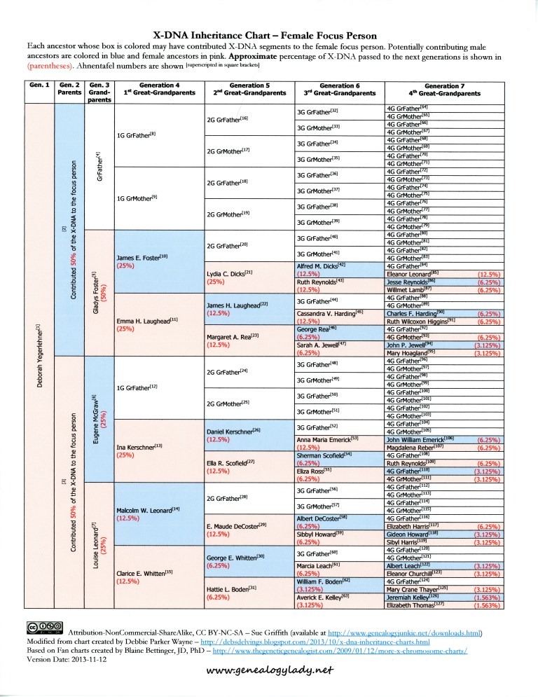 Down the DNA Rabbit Hole – X chromosome | Genealogy Lady