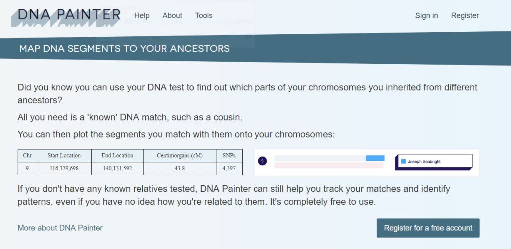 Down the DNA Rabbit Hole – DNA Painter | Genealogy Lady